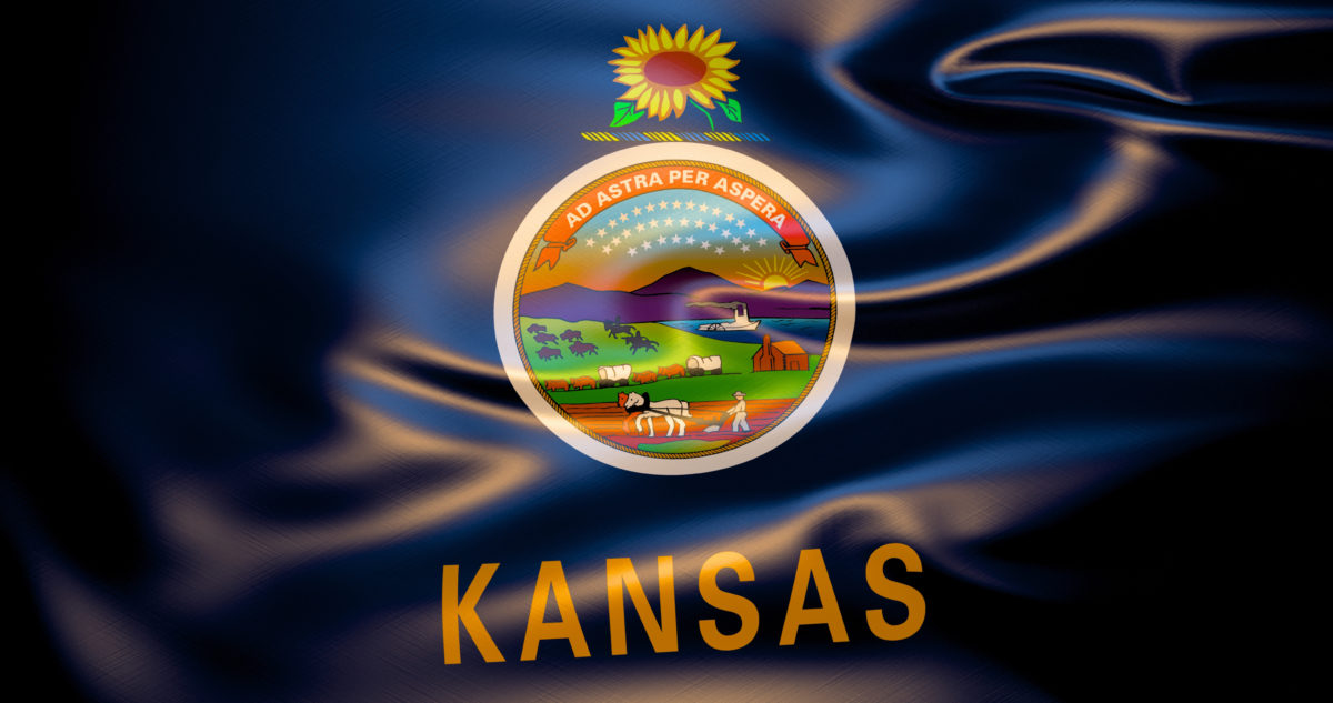 Creating Your Kansas LLC: What You Need to Know - LexLaunch